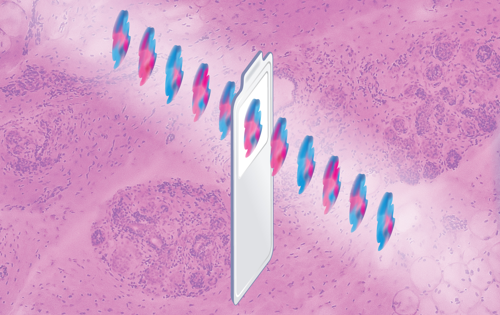 Tissue to Digital - MUSE Microscopy